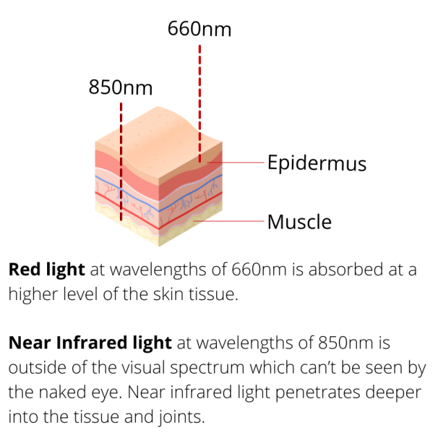 Red Light Therapy Panel | Australia